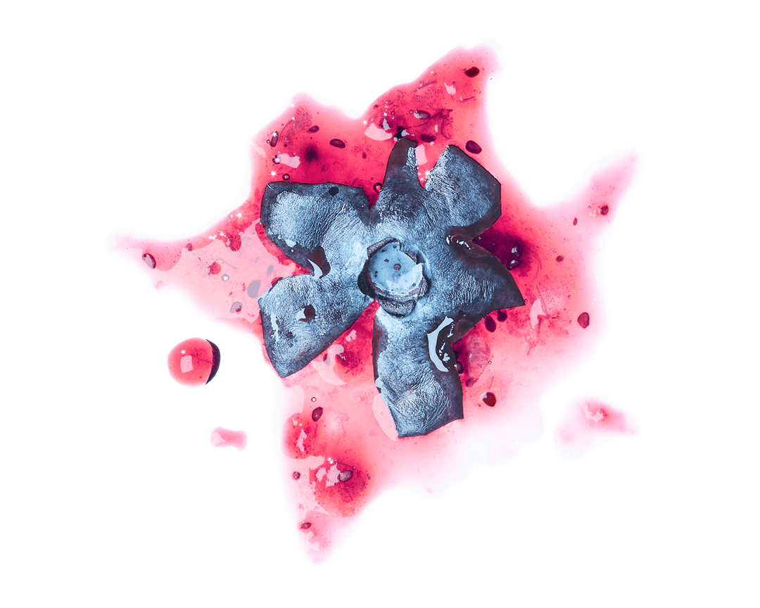 Red Superfood Powders vs. Green Superfood Powders: The Polyphenol-Powe ...